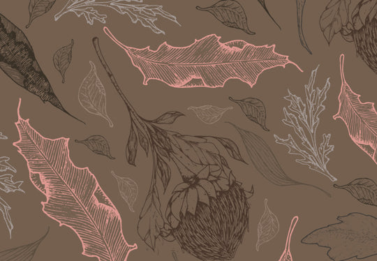 How to Brew Coffee with a Plunger (French Press Method) – Hello Coffee